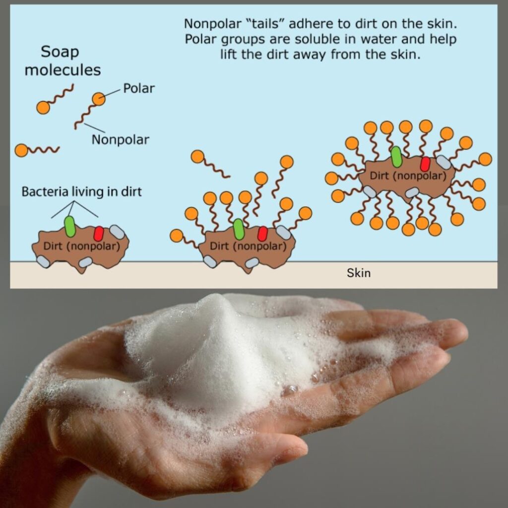 Hand-washing with Soap - JCSD