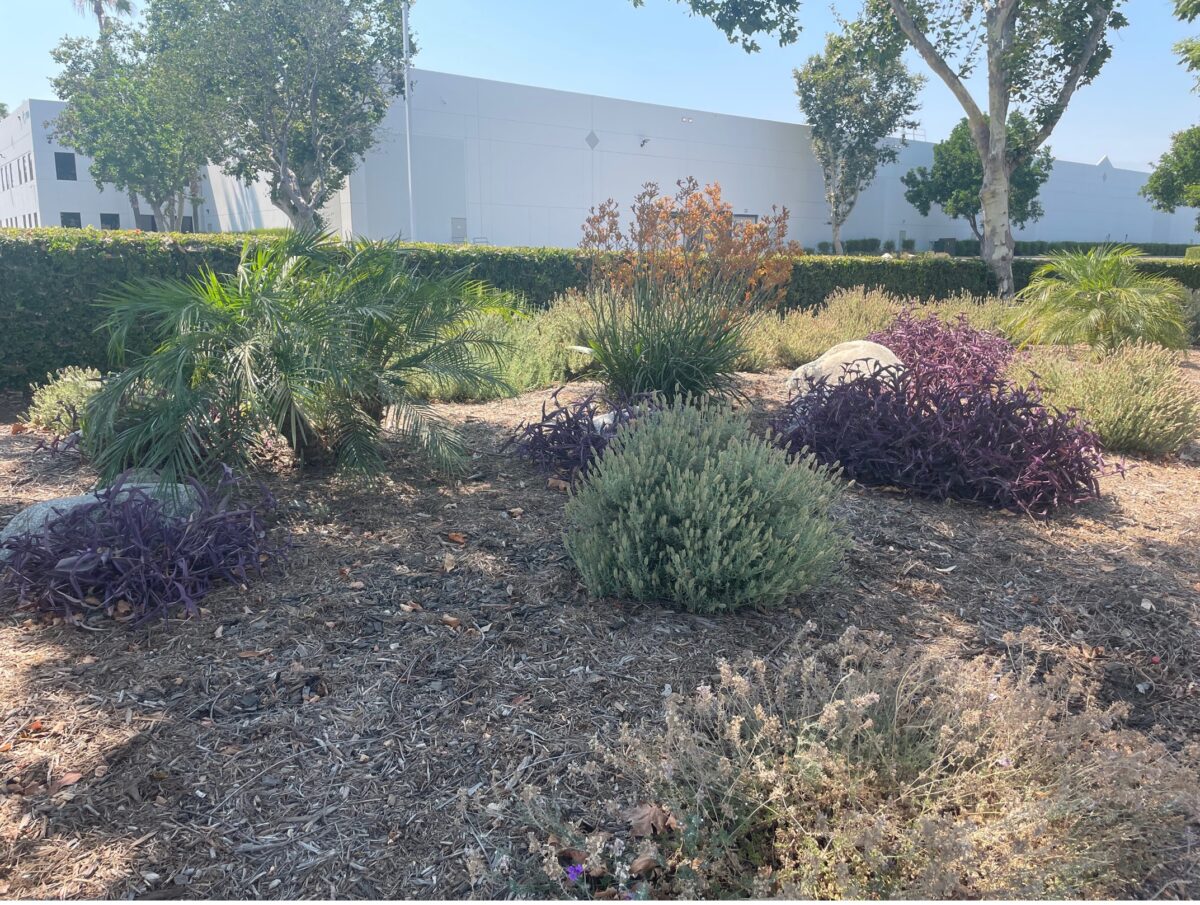 Water Conservation - JCSD