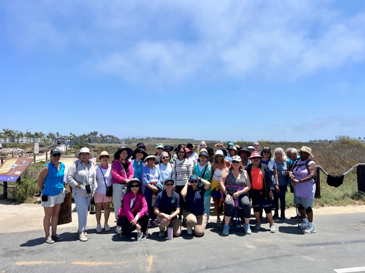 Senior Programs - JCSD